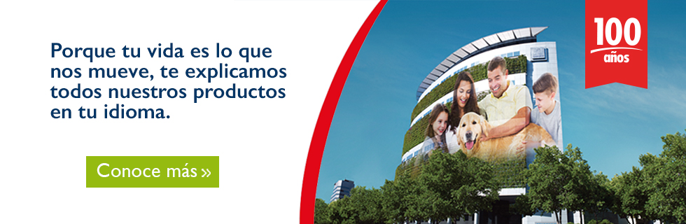 CONSORCIO SEGUROS